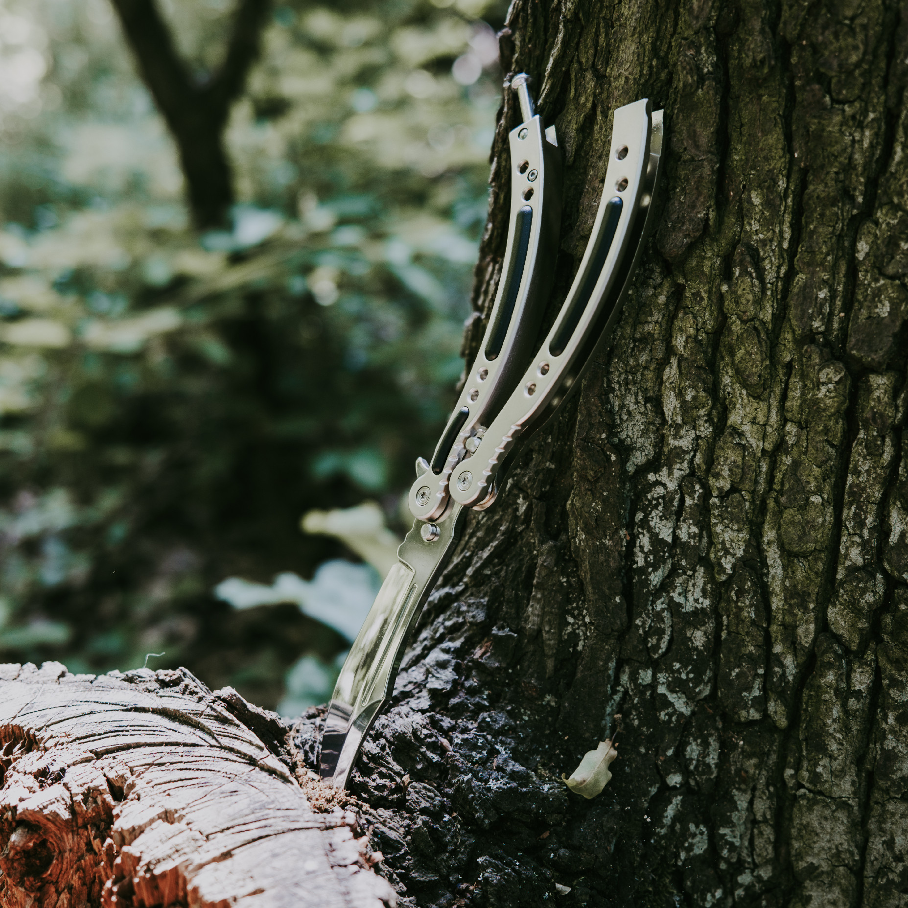 Butterfly Vanilla | Real CS:GO custom made IRL by LootKnife